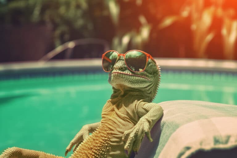 10 Things You Need To Understand To Stop Being Lazy New Trader U