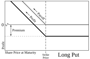 Put Options Explained - New Trader U