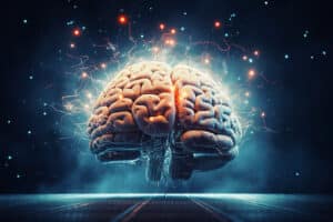 How the Brain Works - New Trader U