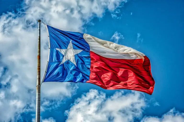 Minimum Annual Income Needed To Qualify As Middle Class In Texas 2024 ...