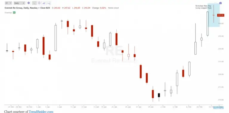 Rickshaw Man Doji (Long Legged Doji) Candlestick Patterns - New Trader U