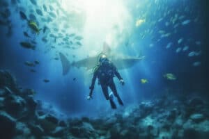 How to Stay Calm Under Pressure - New Trader U