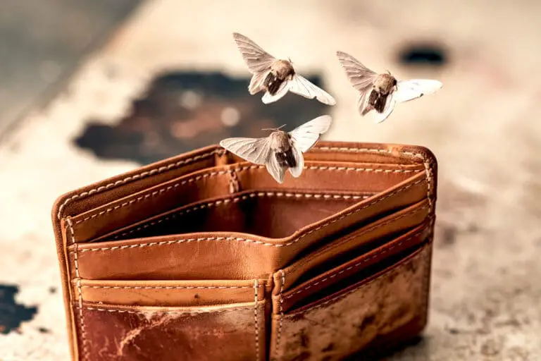 Which Of These 3 Money Habits Are Keeping You In The Middle Class ...